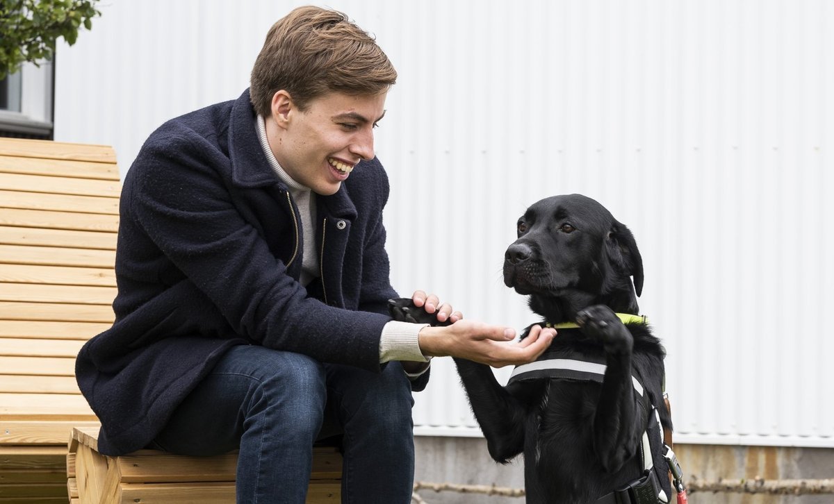 How Much Does A Guide Dog Cost