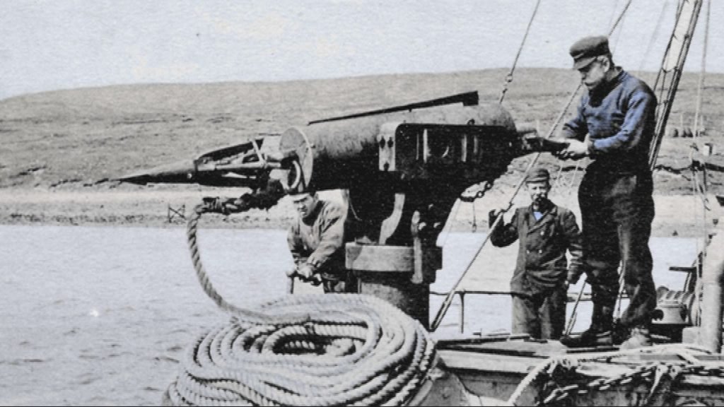 Lítt þekkt saga hvalveiða við Ísland - RÚV.is