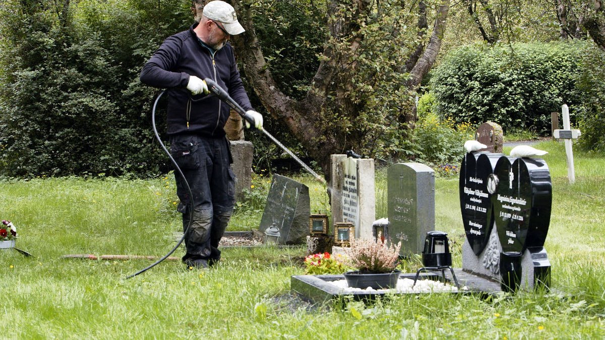 Tekur gömul leiði í fóstur - RÚV.is